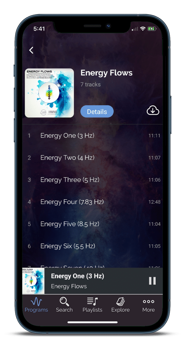 Energy Flows - iAwake Technologies